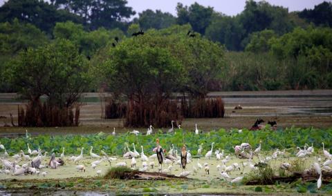 Kumana Wetland Cluster | Sri Lanka Biodiversity