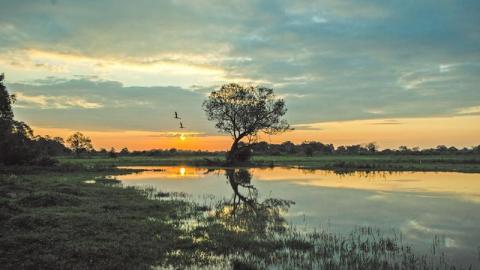 Somawathiya National Park | Sri Lanka Biodiversity