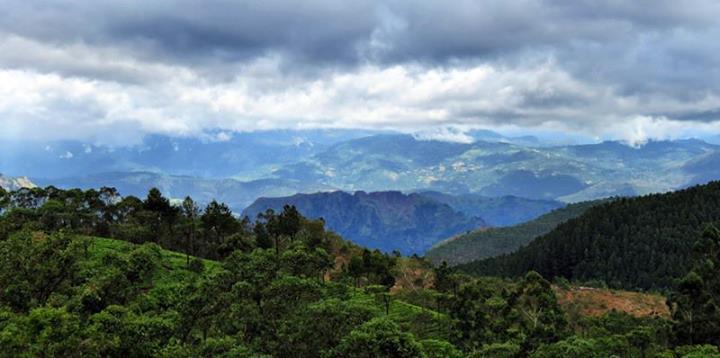 Tropical moist monsoon forest | Sri Lanka Biodiversity